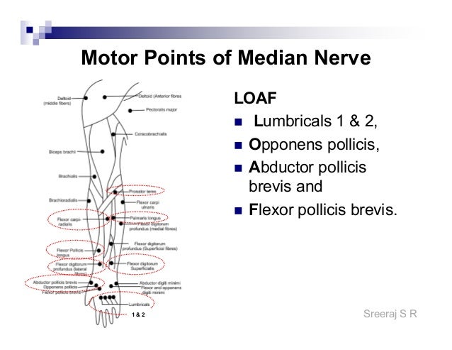 Electrical stimulation motor points and application