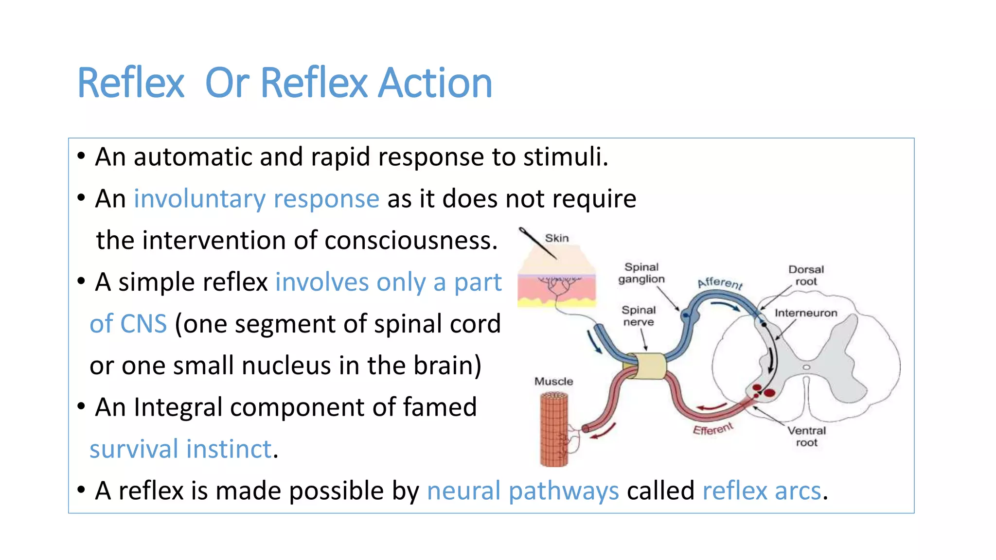 Electrical study of reflexes and Disorders of Neuromuscular junction.pptx