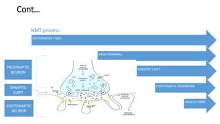 Electrical study of reflexes and Disorders of Neuromuscular junction.pptx
