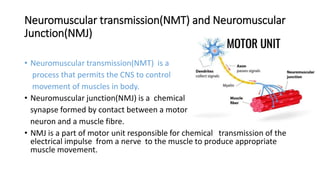 Electrical study of reflexes and Disorders of Neuromuscular junction.pptx