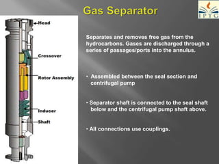 Electrical_Submersible_Pump (final).ppt