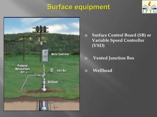 Electrical_Submersible_Pump (final).ppt