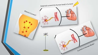 Effects of Electric current on Human Body | PPTX