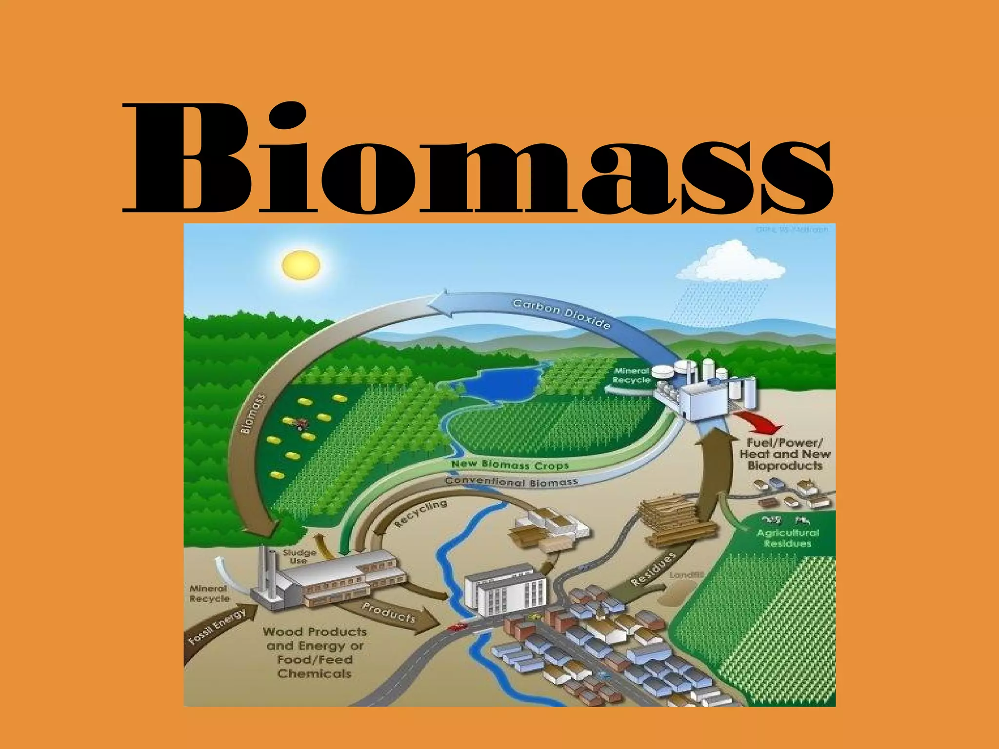 Electricity biomass | ODP