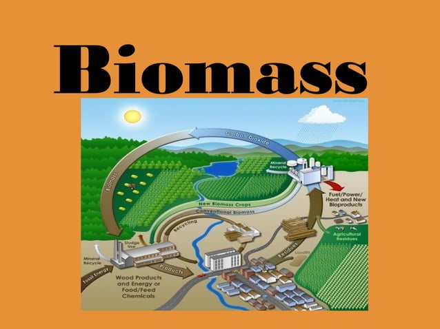 Electricity biomass | ODP