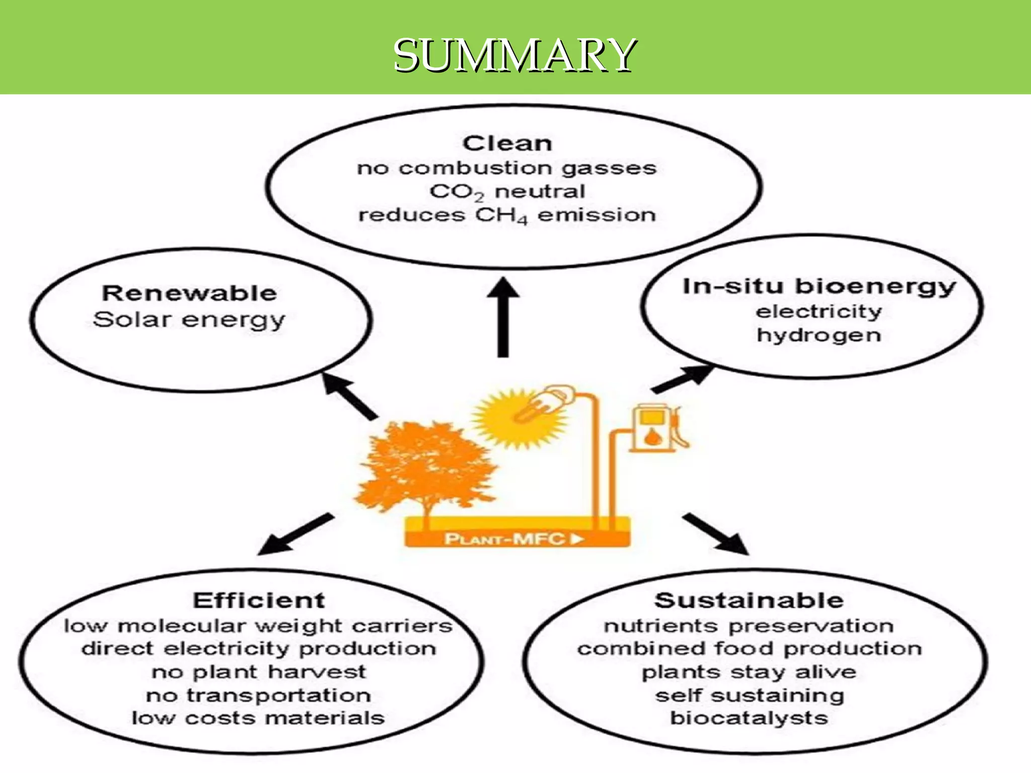 Electricity from plants a new source of futuristic energy | PPT