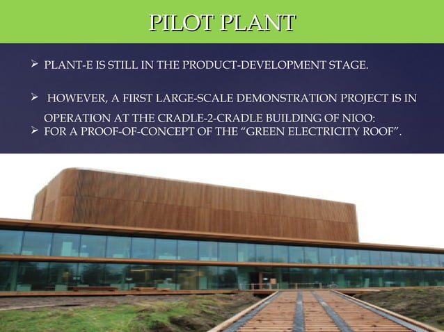 Electricity from plants a new source of futuristic energy | PPT | Power ...