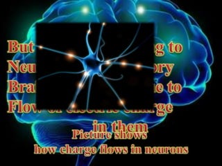 Electricity is god | PPSX