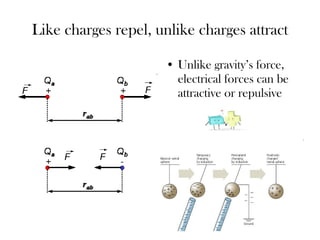 Electricity & Magnetism Conceptual Physics acloutier copyright | PPT