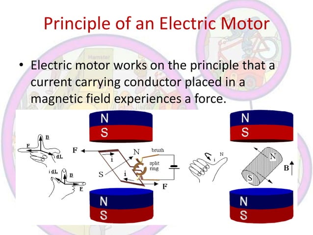 Electric motor and generator | PPTX