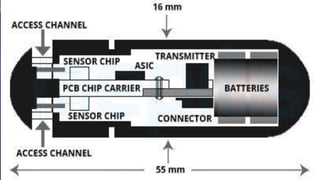 micro Electric pill | PPT