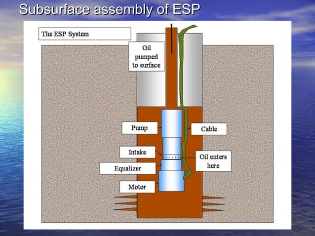Electric submersible pump(esp)