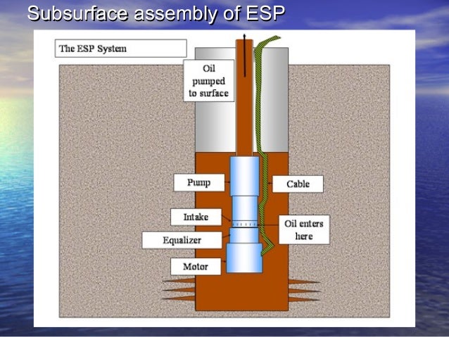 Electric submersible pump(esp)