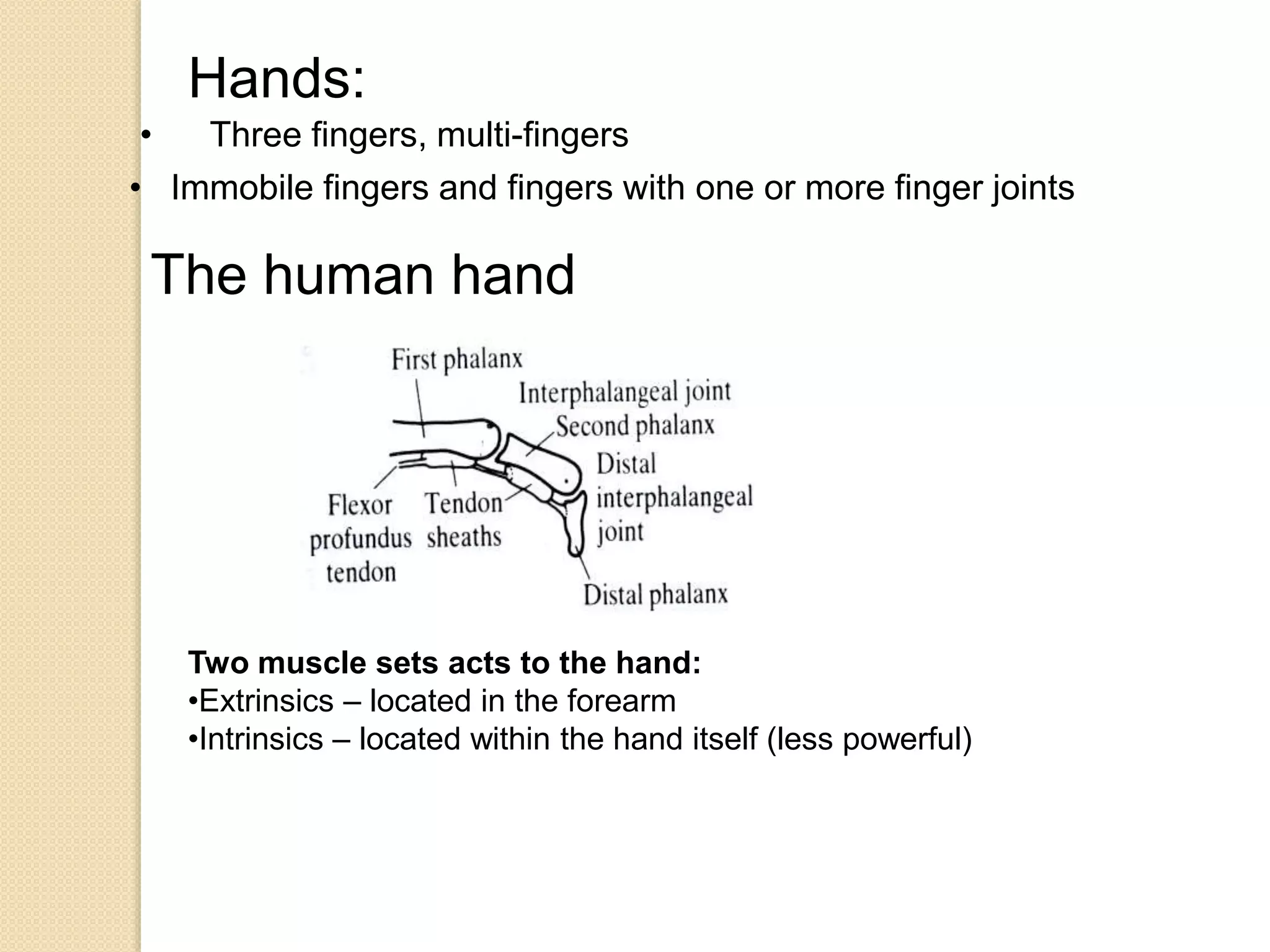Electric terminal devices | PPTX