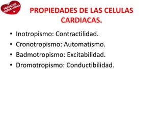 Electrocardiograma | PPTX