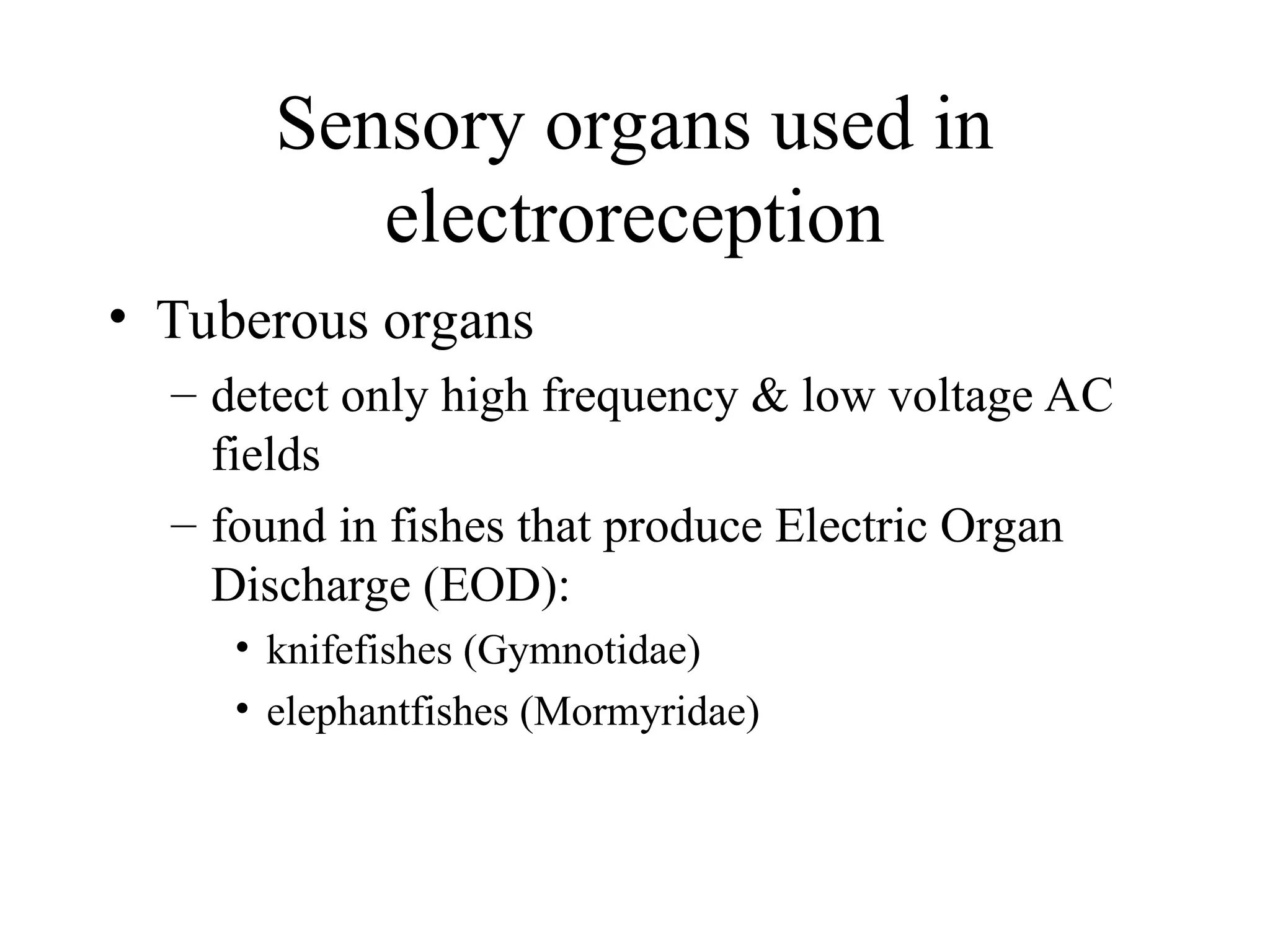 electroreception in fish and their functions.ppt