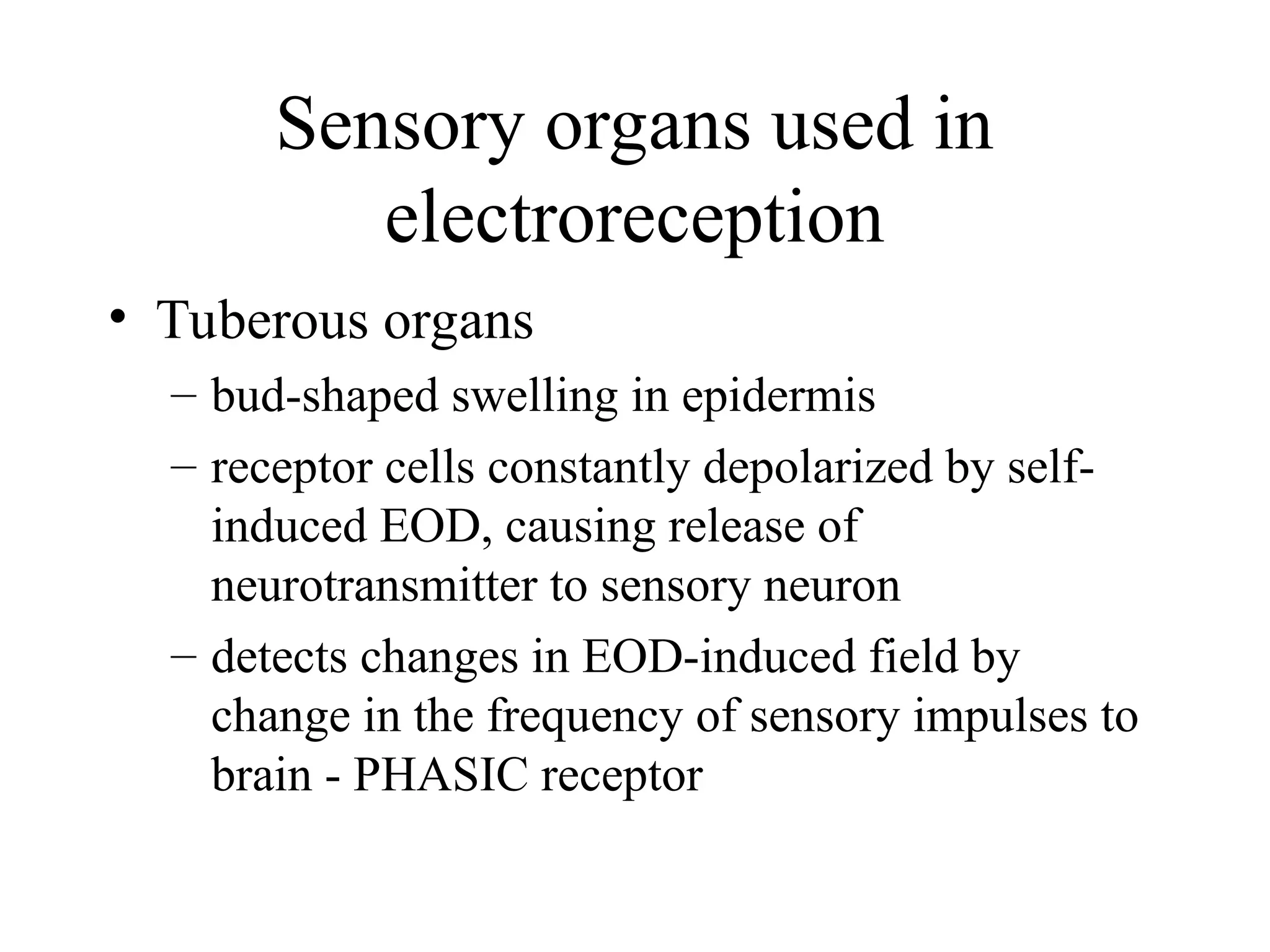 electroreception in fish and their functions.ppt