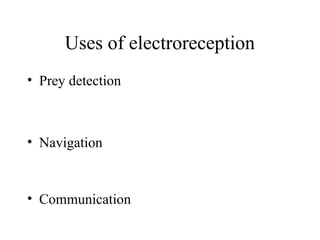 electroreception in fish and their functions.ppt | Fish and Aquariums ...