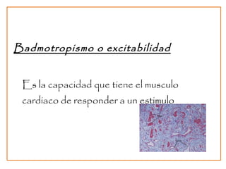 Electrocardiografía básica | PPT