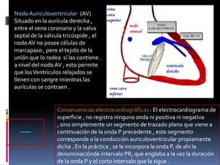 Electrocardiografía Básica | PPTX