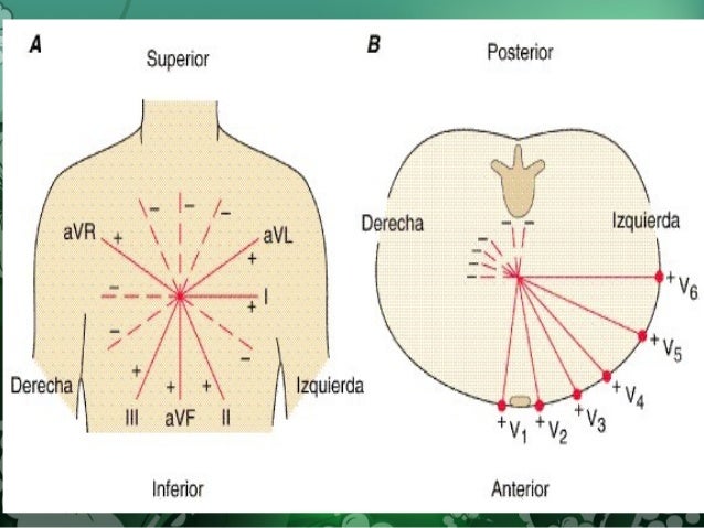 Electrocardiografia basica