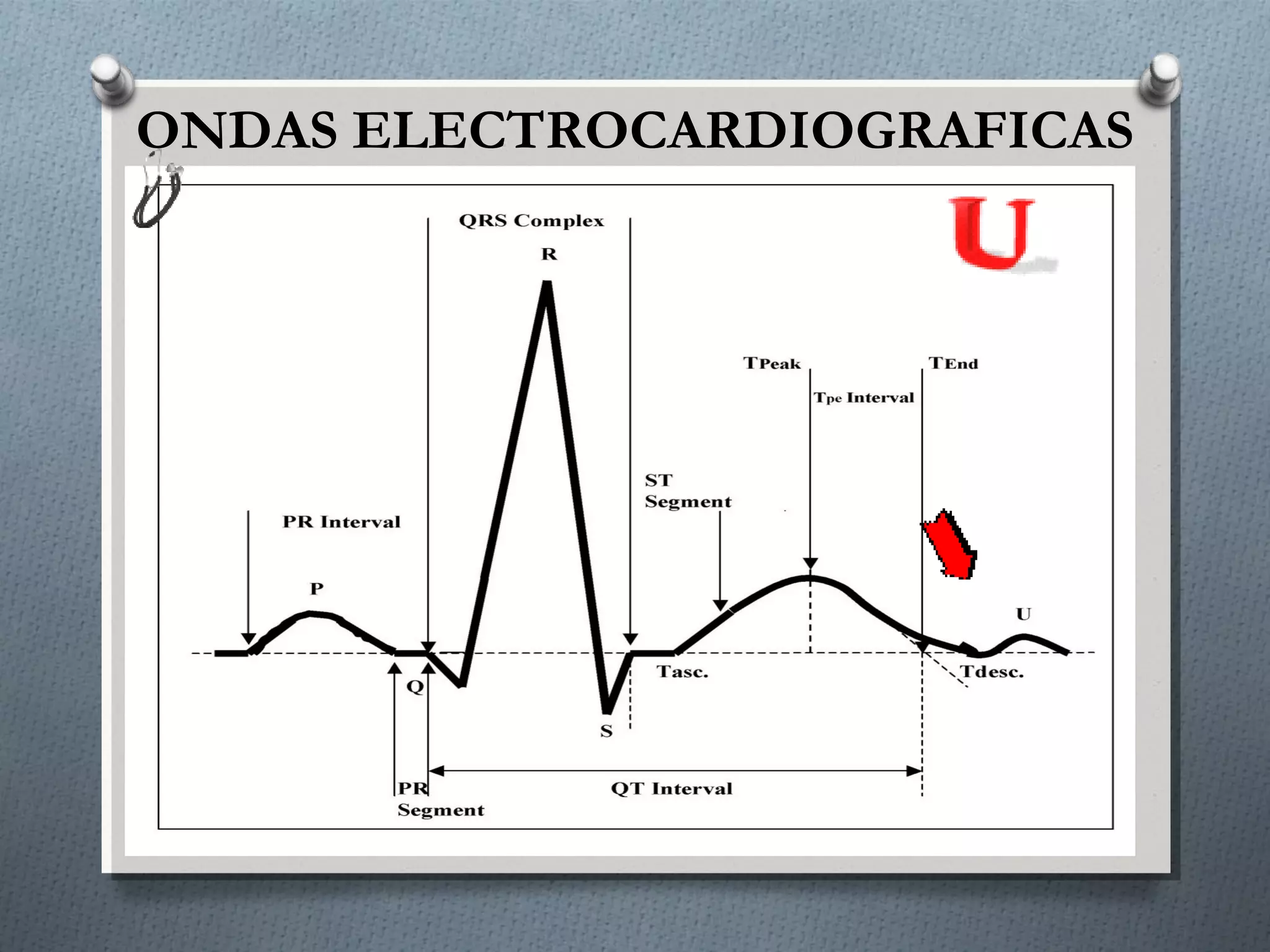 Electrocardiografia basica y signos de alarma ( Autores Lic.Ojeda David ...