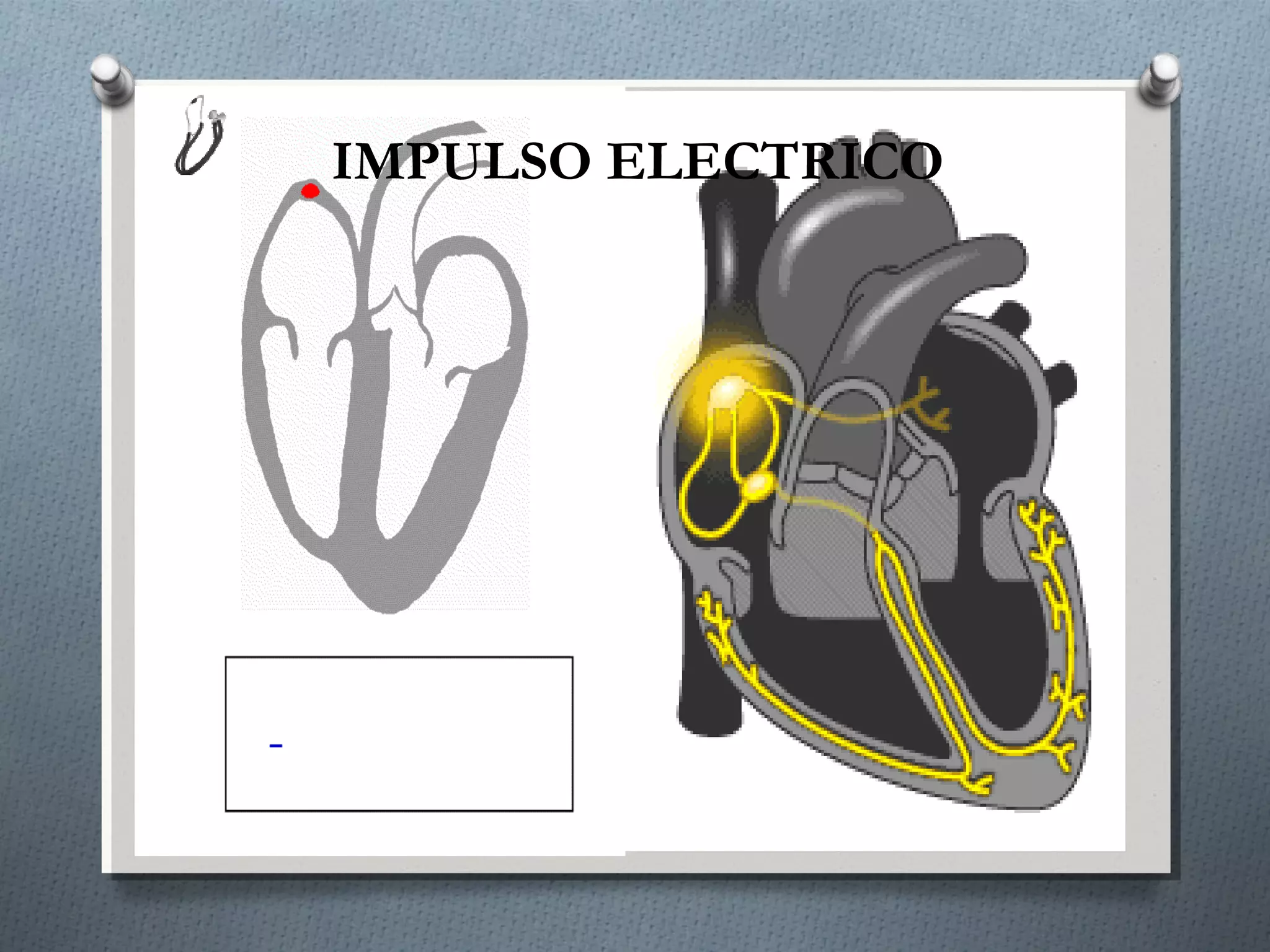 Electrocardiografia basica y signos de alarma ( Autores Lic.Ojeda David ...