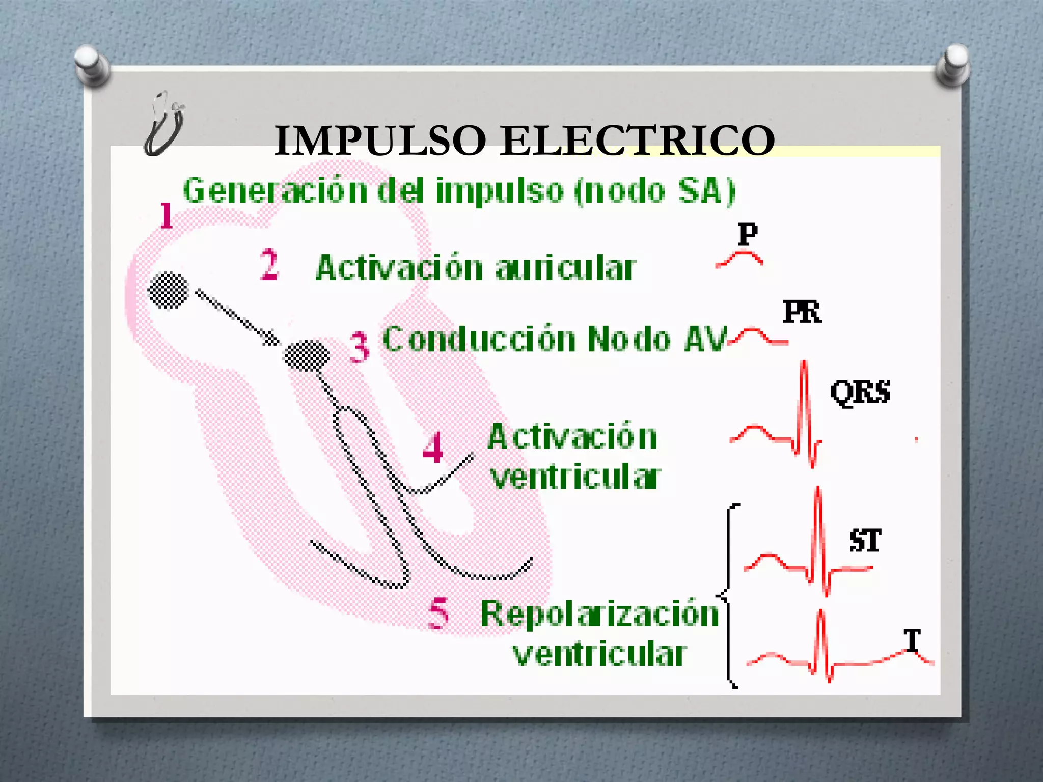 Electrocardiografia basica y signos de alarma ( Autores Lic.Ojeda David ...