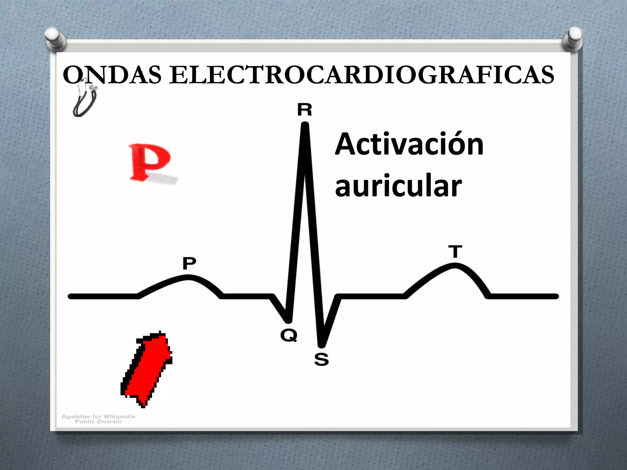 Electrocardiografia basica y signos de alarma ( Autores Lic.Ojeda David ...