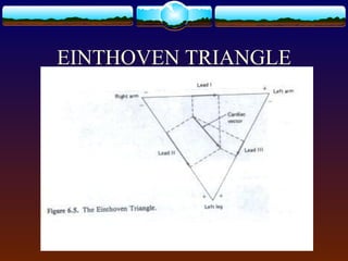 Electrocardiogram | PPT