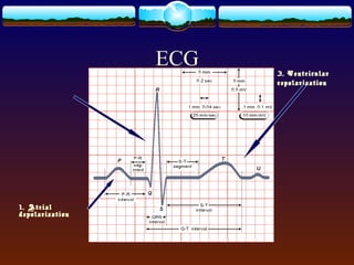 Electrocardiogram | PPT