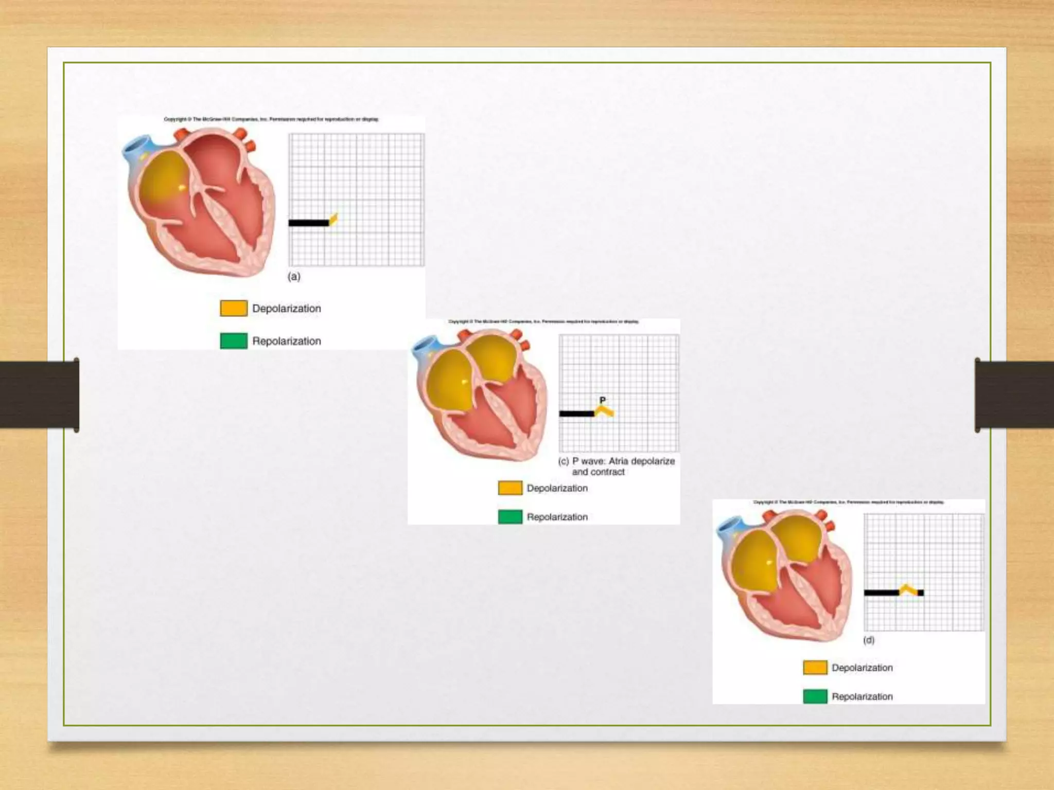 Electrocardiogram | PPTX