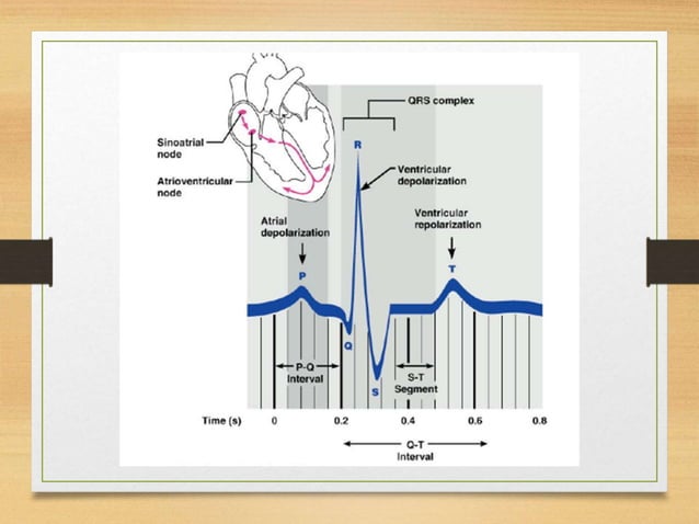 Electrocardiogram | PPTX