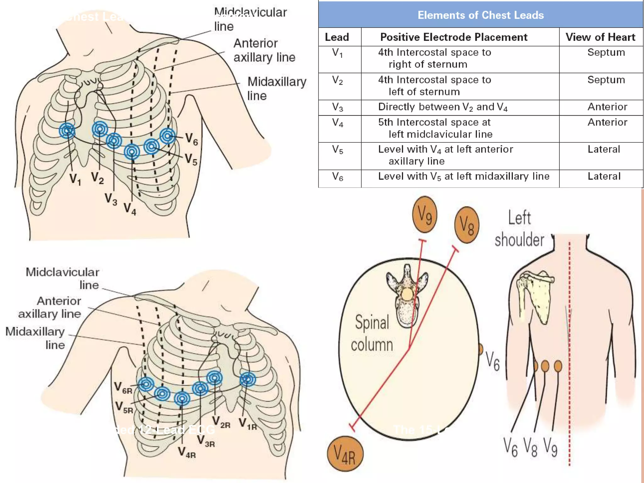 Electrocardiogram (ECG) / ECG interpretation | PPTX