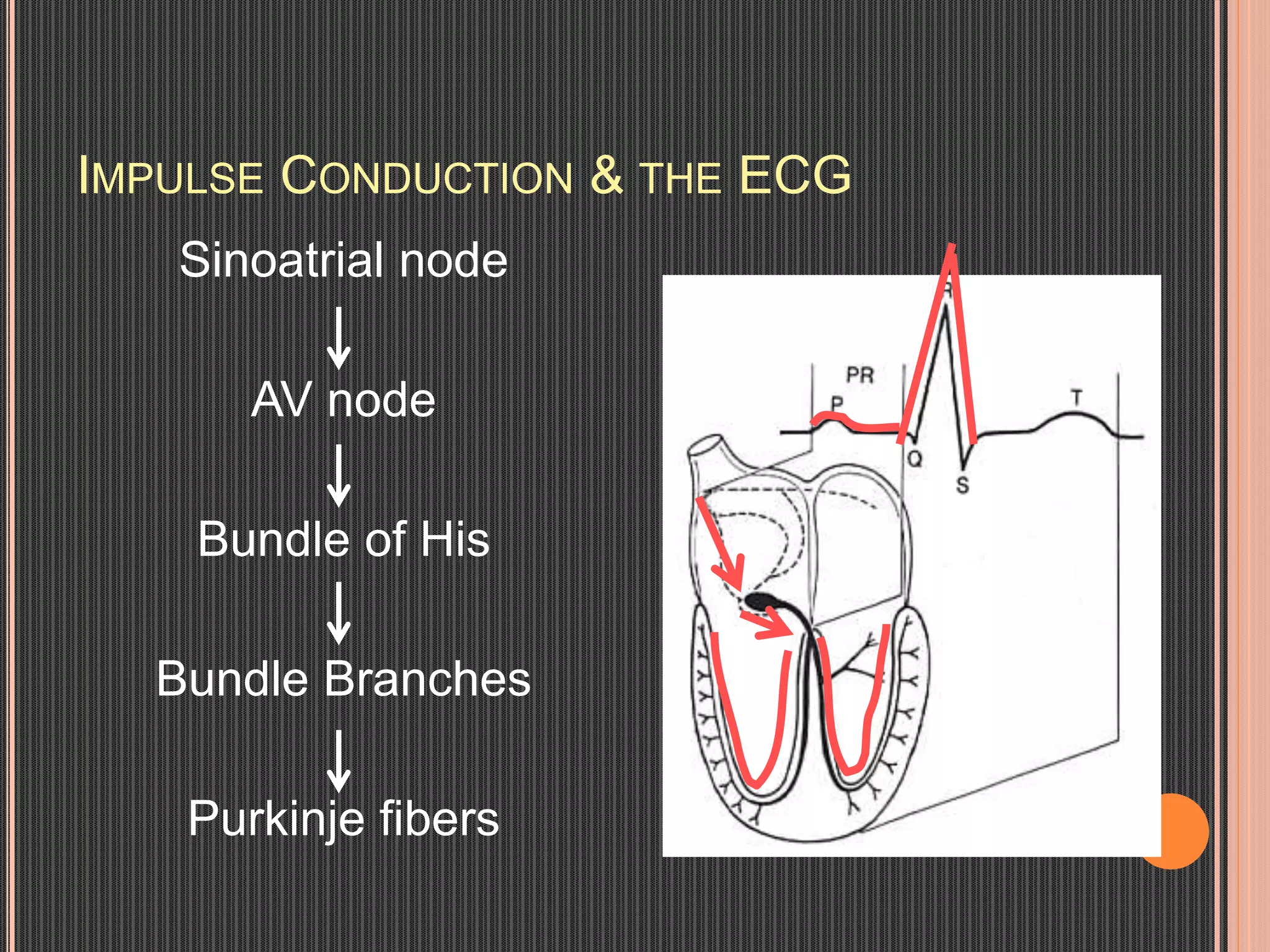 Electrocardiogram (ECG) / ECG interpretation | PPTX