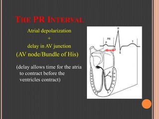 Electrocardiogram (ECG) / ECG interpretation | PPTX