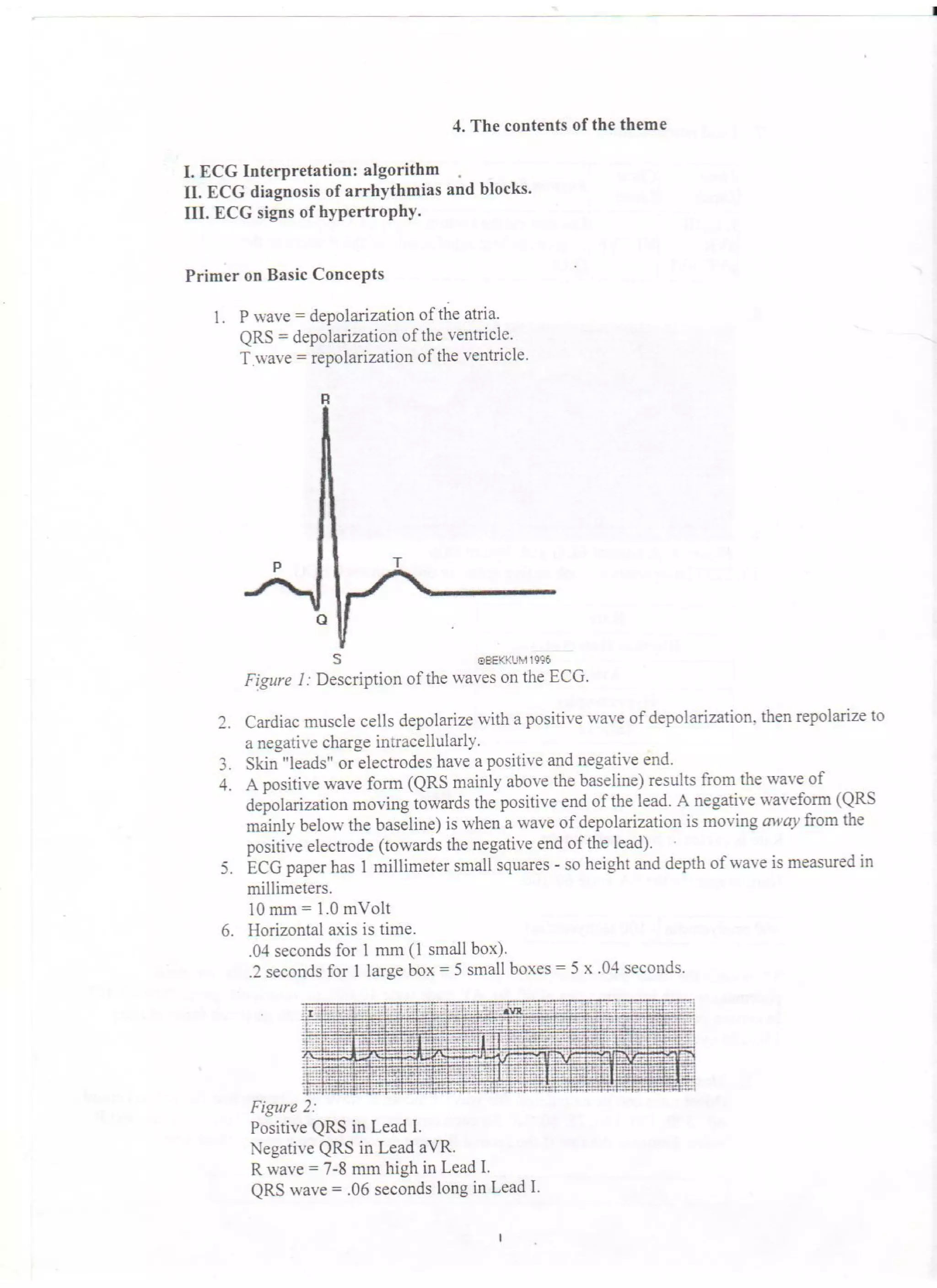 Electro cardiogram (ECG) | PDF