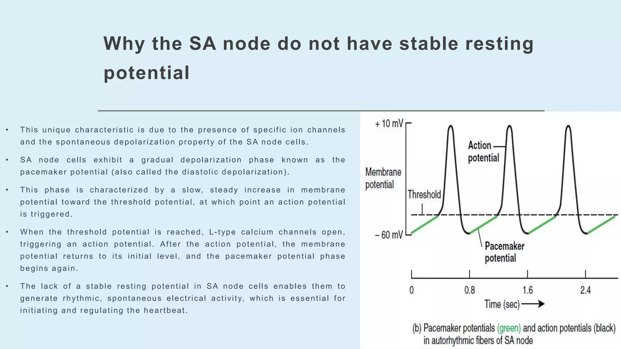 ELECTROCARDIOGRAM.pptx