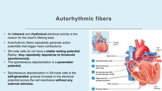 ELECTROCARDIOGRAM.pptx