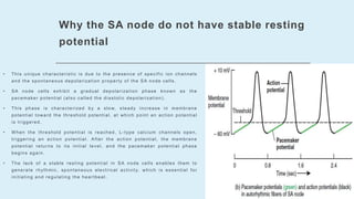 ELECTROCARDIOGRAM.pptx