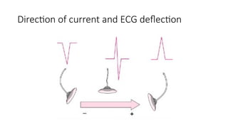 Electrocardiogram muhimbili hospital ppt | PPTX