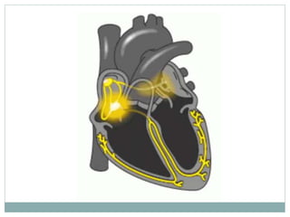 Electrocardiogram | PPTX