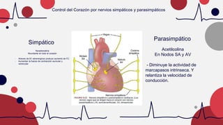 ELECTROCARDIOGRAMA.pptx