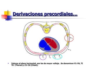 Electrocardiograma | PPT