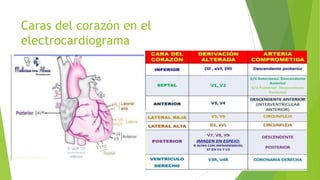 ELECTROCARDIOGRAMA clase r1 medicina .pptx