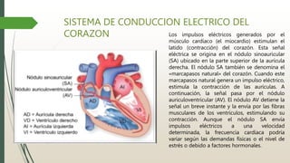 ELECTROCARDIOGRAMA CLINICA POTENCIAL DE ACCION .pptx