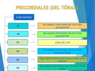 Electrocardiograma «ECG» | PPTX