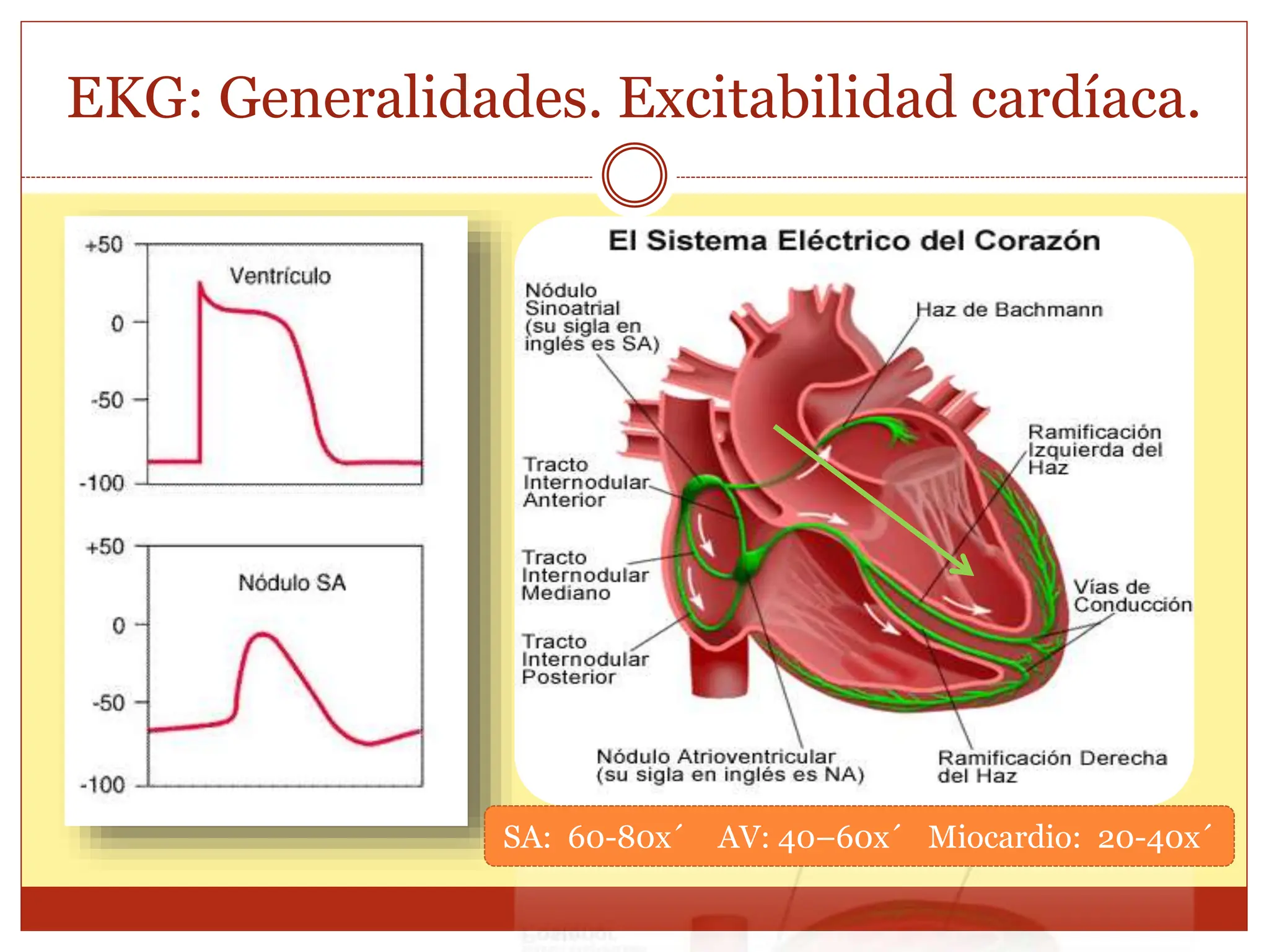 electrocardiogramaekg-120424215518-phpapp01.pptx
