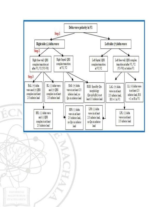 Electrocardiogram algorithm | DOCX