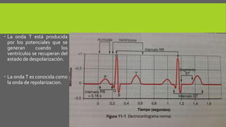 Electrocardiograma normal | PPTX